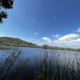 Barbara's Lake Loop Trail, California - 793 Reviews, Map | AllTrails