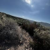 Barbara's Lake Loop Trail, California - 929 Reviews, Map | AllTrails