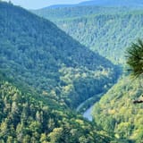 Tioga West Rim Trail, Pennsylvania - 551 Reviews, Map | AllTrails