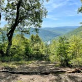 Tioga West Rim Trail, Pennsylvania - 482 Reviews, Map | AllTrails