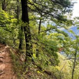 Tioga West Rim Trail, Pennsylvania - 551 Reviews, Map | AllTrails