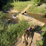 Peter's Creek Heritage Trail, South Carolina - 359 Reviews, Map | AllTrails