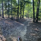 Peter's Creek Heritage Trail, South Carolina - 359 Reviews, Map | AllTrails