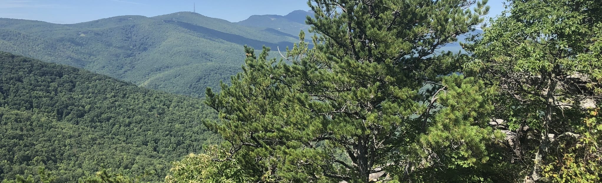 Little Lost Cove Cliffs, North Carolina - 132 Reviews, Map | AllTrails