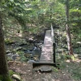 Stratton Mountain and Stratton Pond Loop, Vermont - 452 Reviews, Map ...
