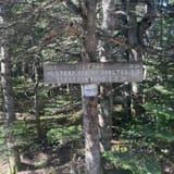 Stratton Mountain and Stratton Pond Loop, Vermont - 331 Reviews, Map ...