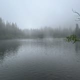 Zigzag Mountain Trail #775, Oregon - 48 Reviews, Map | AllTrails