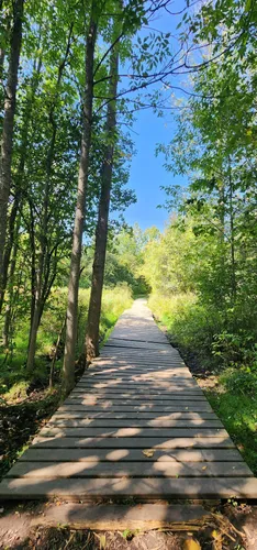 10 Best Trails and Hikes in Peterborough | AllTrails