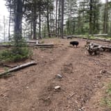 Rock Creek Lake Trail, Oregon - 19 Reviews, Map | AllTrails