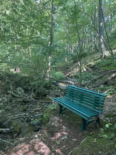 Best Hikes and Trails in Rapidan Wildlife Management Area | AllTrails