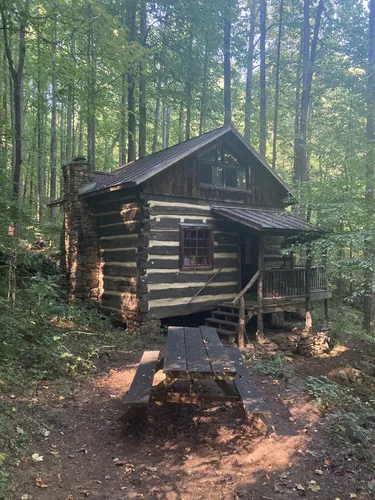 Best Hikes and Trails in Rapidan Wildlife Management Area | AllTrails
