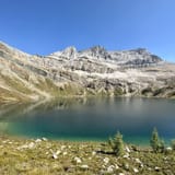 Skoki Loop Backpacking Trail, Alberta, Canada - 363 Reviews, Map ...
