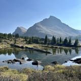 Skoki Loop Backpacking Trail, Alberta, Canada - 363 Reviews, Map ...