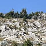 Skoki Loop Backpacking Trail, Alberta, Canada - 363 Reviews, Map ...