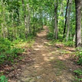 Shawnee State Park North Loop, Ohio - 204 Reviews, Map | AllTrails