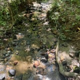 Bridge Loop Trail and Lake Loop Trail, Georgia - 840 Reviews, Map ...