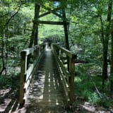 Bridge Loop Trail and Lake Loop Trail, Georgia - 840 Reviews, Map ...