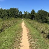 Bridge Loop Trail and Lake Loop Trail, Georgia - 840 Reviews, Map ...