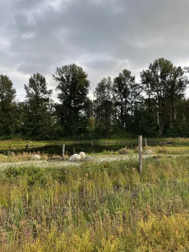 Best Hikes and Trails in Colony Farm Regional Park | AllTrails