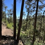 Chamisa Trail, New Mexico - 1,232 Reviews, Map | AllTrails