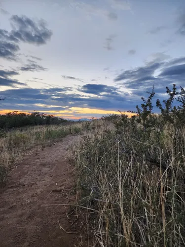 2023 Best Moderate Trails in Layton | AllTrails