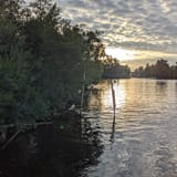 Foster Island Trail, Washington - 687 Reviews, Map | AllTrails