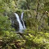 Beaver Falls, Washington - 270 Reviews, Map | AllTrails
