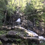 Cascade Brook Trail to Lonesome Lake, New Hampshire - 697 Reviews, Map ...