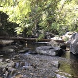 Cascade Brook Trail to Lonesome Lake, New Hampshire - 697 Reviews, Map ...