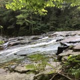 Cascade Brook Trail to Lonesome Lake, New Hampshire - 697 Reviews, Map ...