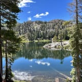 Bull Run Lake Trail, California - 365 Reviews, Map | AllTrails