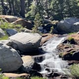 Bull Run Lake Trail, California - 365 Reviews, Map | AllTrails