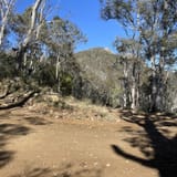 Mount Coree Summit Trail, New South Wales, Australia - 27 Reviews, Map ...