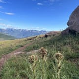 Shrine Ridge Trail, Colorado - 3,143 Reviews, Map | AllTrails