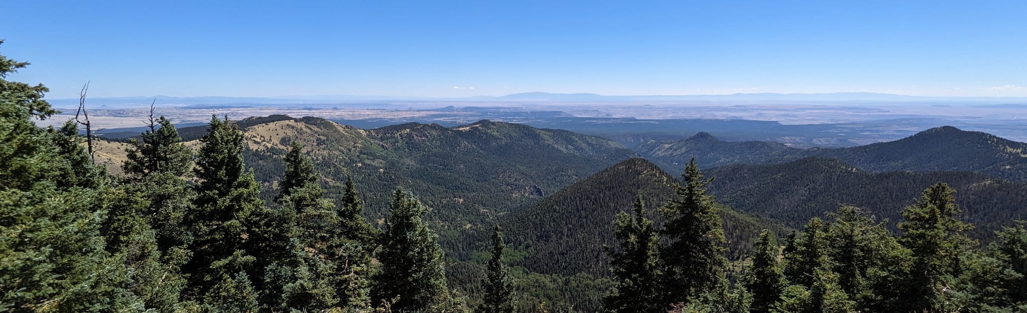 Mt. Taylor Northwest Loop, New Mexico - 34 Reviews, Map | AllTrails