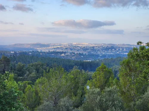 Best Hikes and Trails in Eshtaol Forest | AllTrails