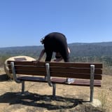 Shelf Road Trail, California - 983 Reviews, Map | AllTrails