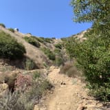 Shelf Road Trail, California - 983 Reviews, Map | AllTrails