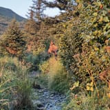 Wolverine Peak via Basher Trail, Alaska - 707 Reviews, Map | AllTrails
