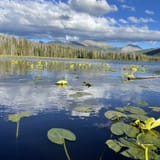 Strawberry Lake, Colorado - 1,157 Reviews, Map | AllTrails