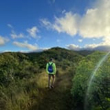 Manana Ridge Trail to Ko'olau Summit, Oahu, Hawaii - 172 Reviews, Map ...