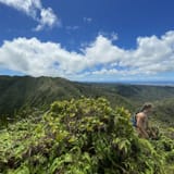 Manana Ridge Trail to Ko'olau Summit, Oahu, Hawaii - 172 Reviews, Map ...