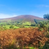 Blackstairs Mountain, County Carlow, Ireland - 147 Reviews, Map | AllTrails