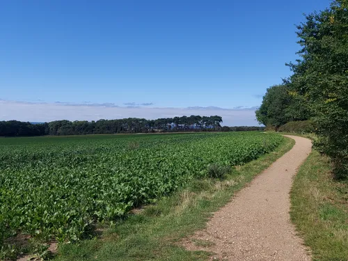 10 Best Hikes and Trails in Norfolk Coast National Landscape (AONB ...