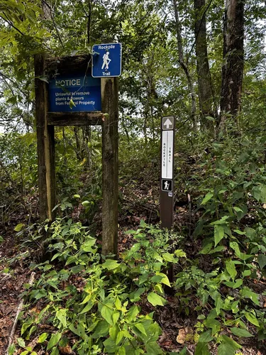 10 Best Trails and Hikes in Muscle Shoals | AllTrails