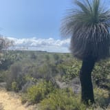 Yanchep Rose Trail, Western Australia, Australia - 131 Reviews, Map ...