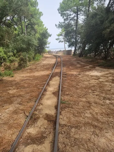 Best Hikes and Trails in Forêt domaniale de Saint-Trojan | AllTrails