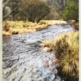 Brandy Creek Mine to Cobungra River: 11 fotos - Victoria, Australia ...