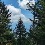 Mount Buckley via Clingmans Dome Bypass Trail, North Carolina - 886 ...