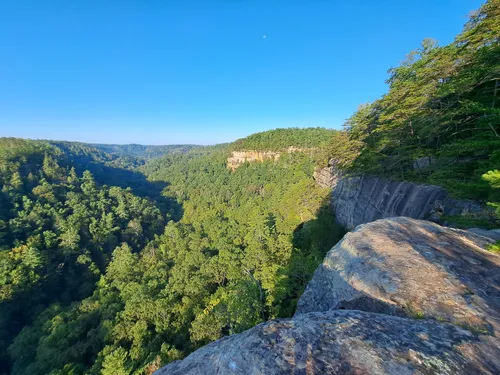 10 Best Hikes and Trails in Clifty Wilderness | AllTrails